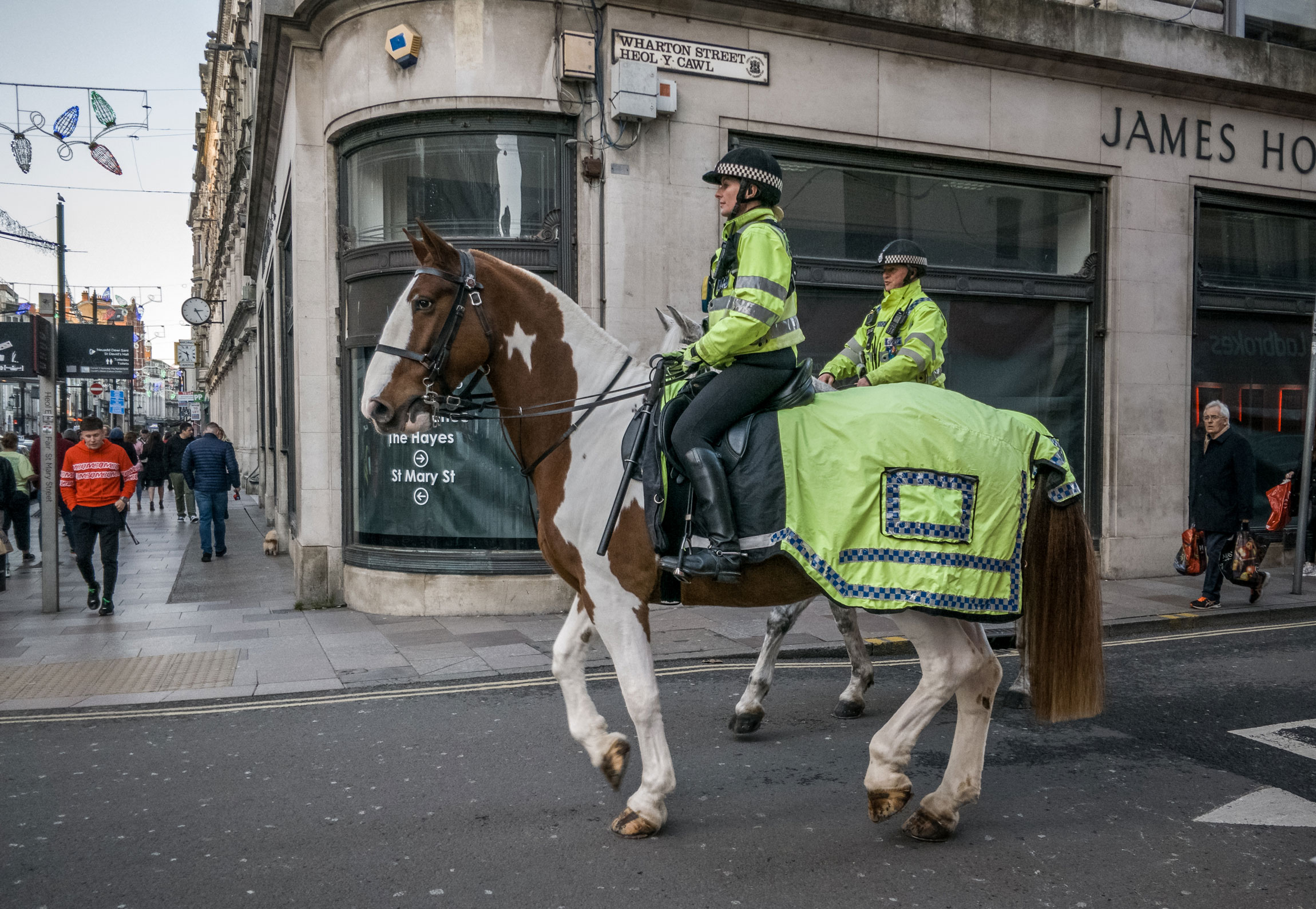 RIDE: South Wales Police and their Horses