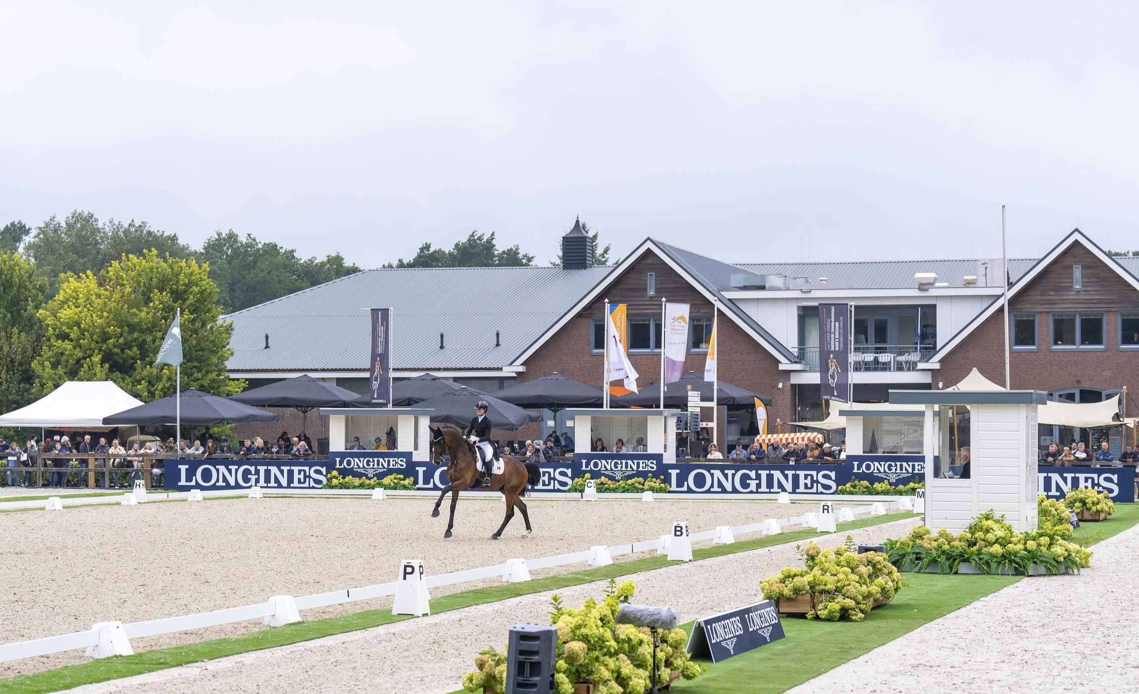 Behind the Scenes at Ermelo 2025