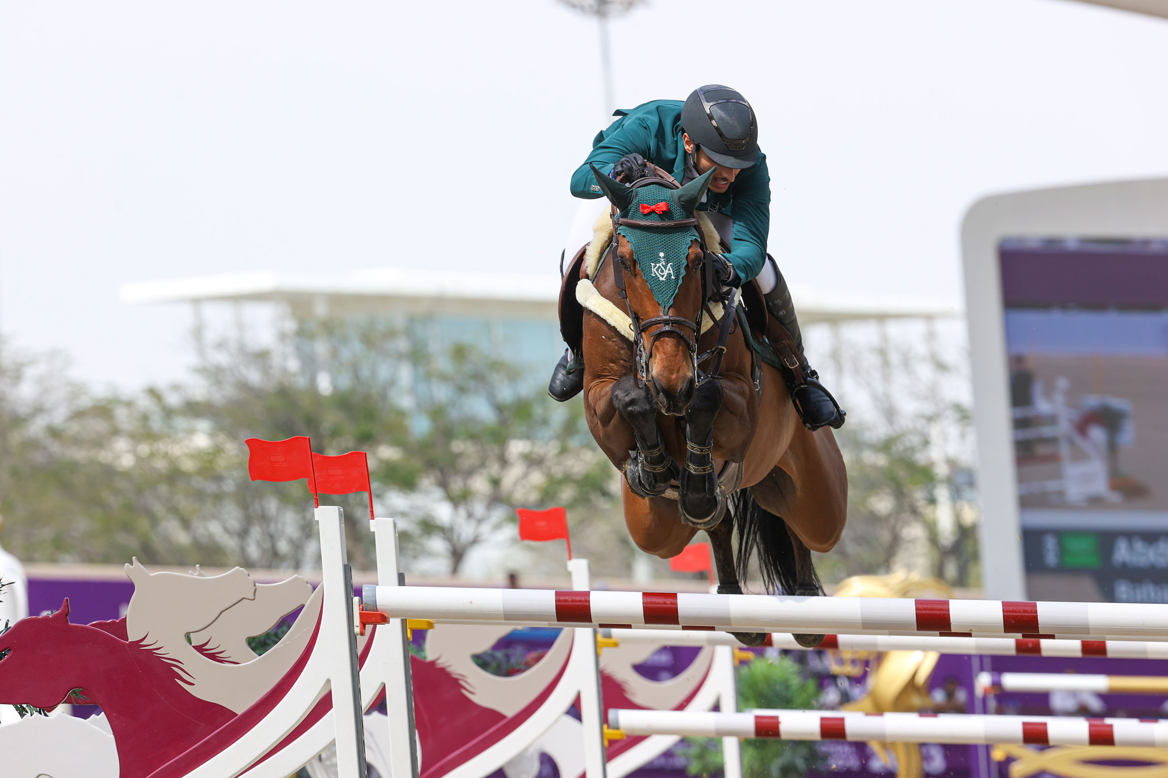 Horse of the Month: Babalou