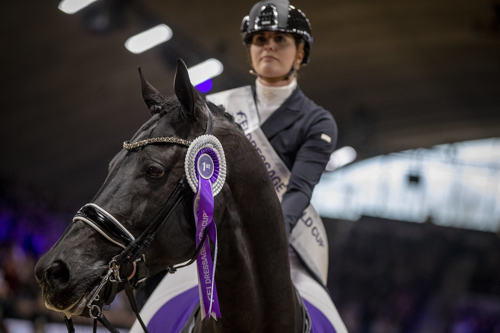Horse of the Month: Desperado N.O.P
