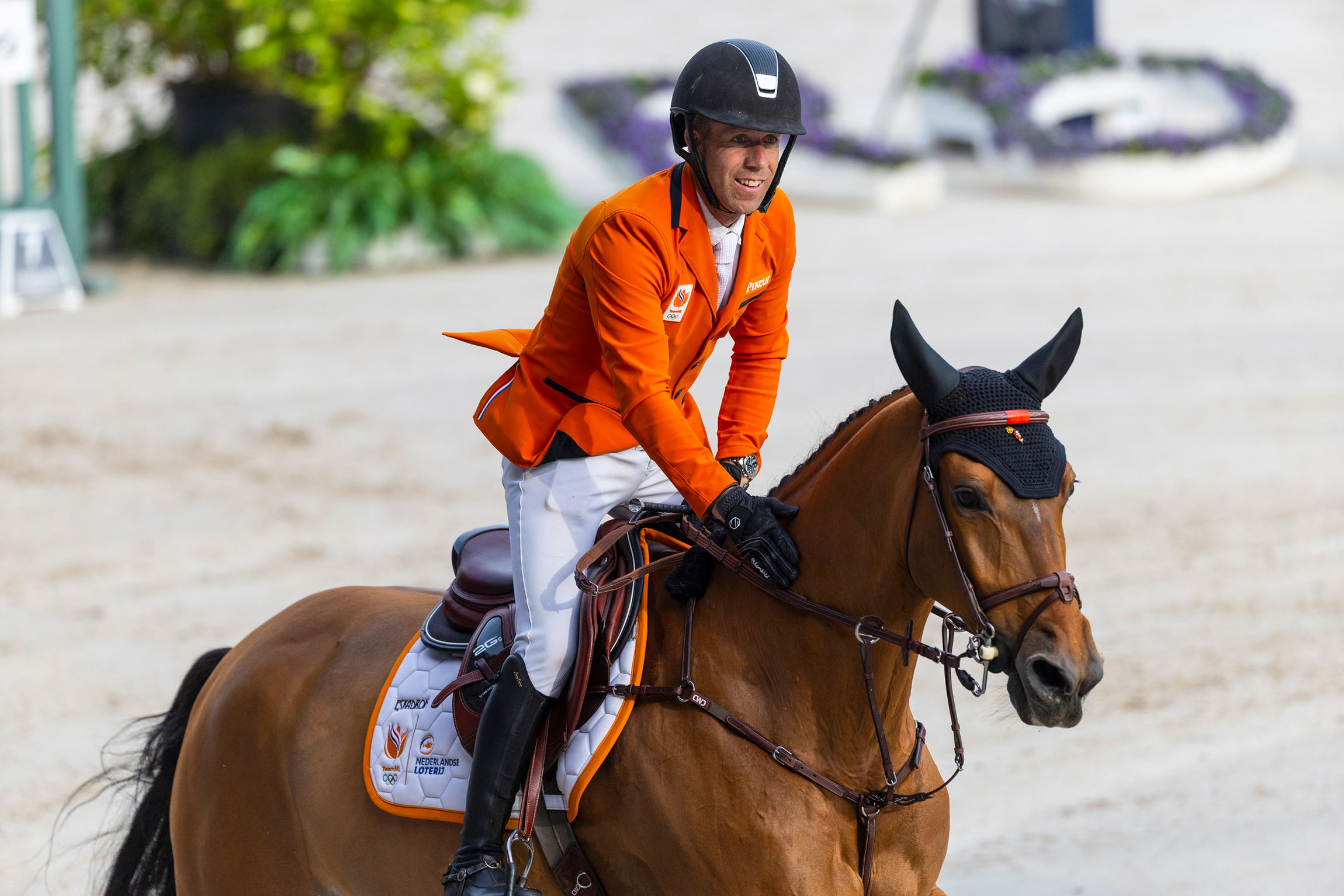 5 Hero Horses Who Could Light Up A Coruña