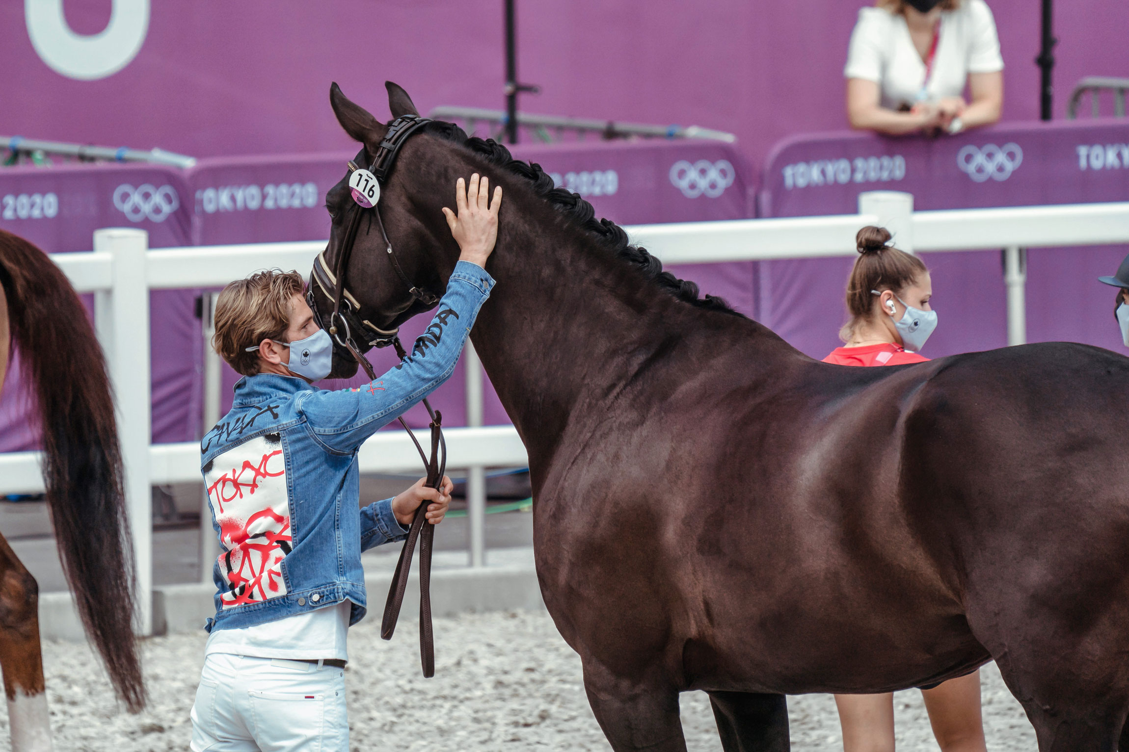 How to Build Up Topline in a Horse