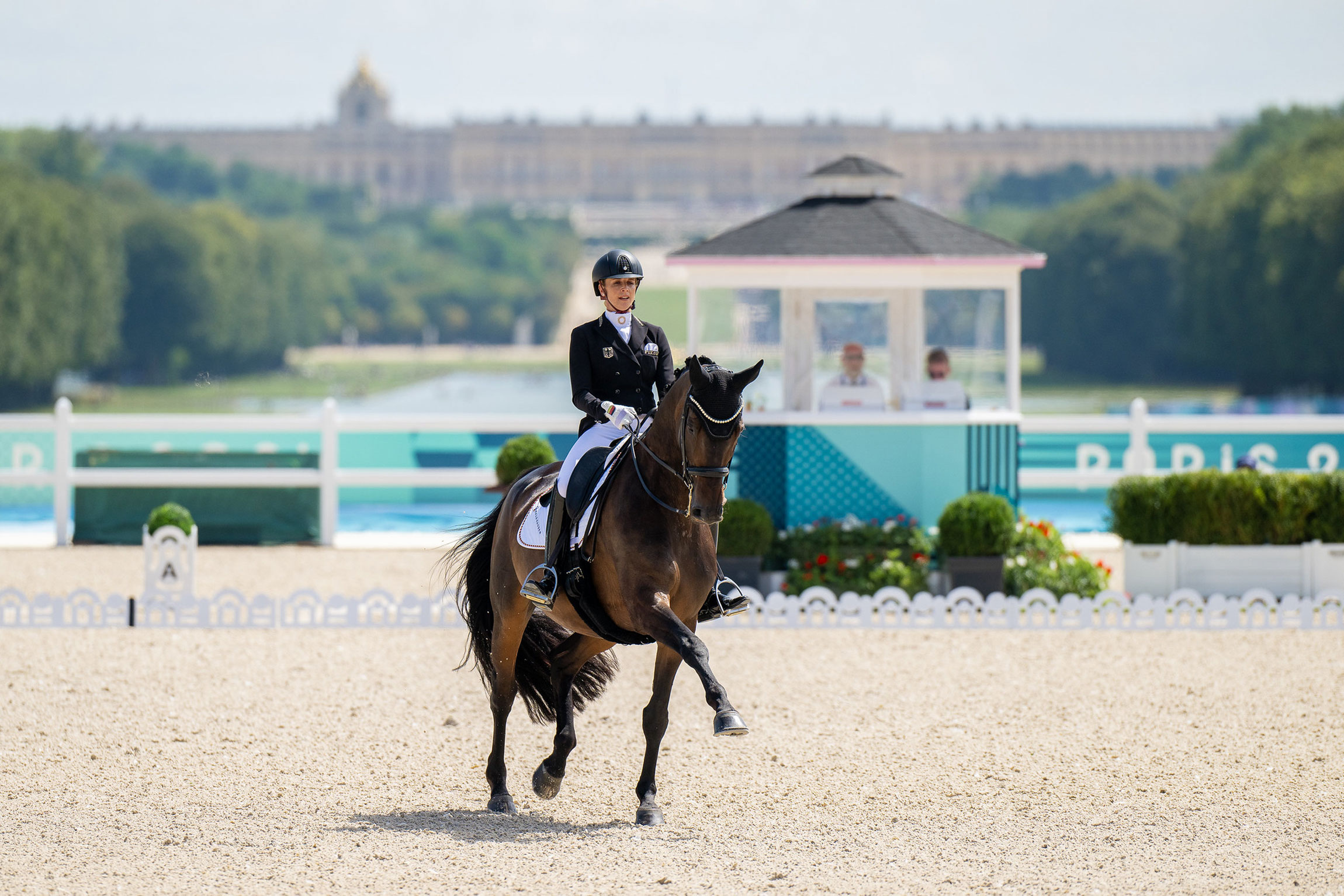 How Can I Rewatch the Paris 2024 Dressage Competitions?