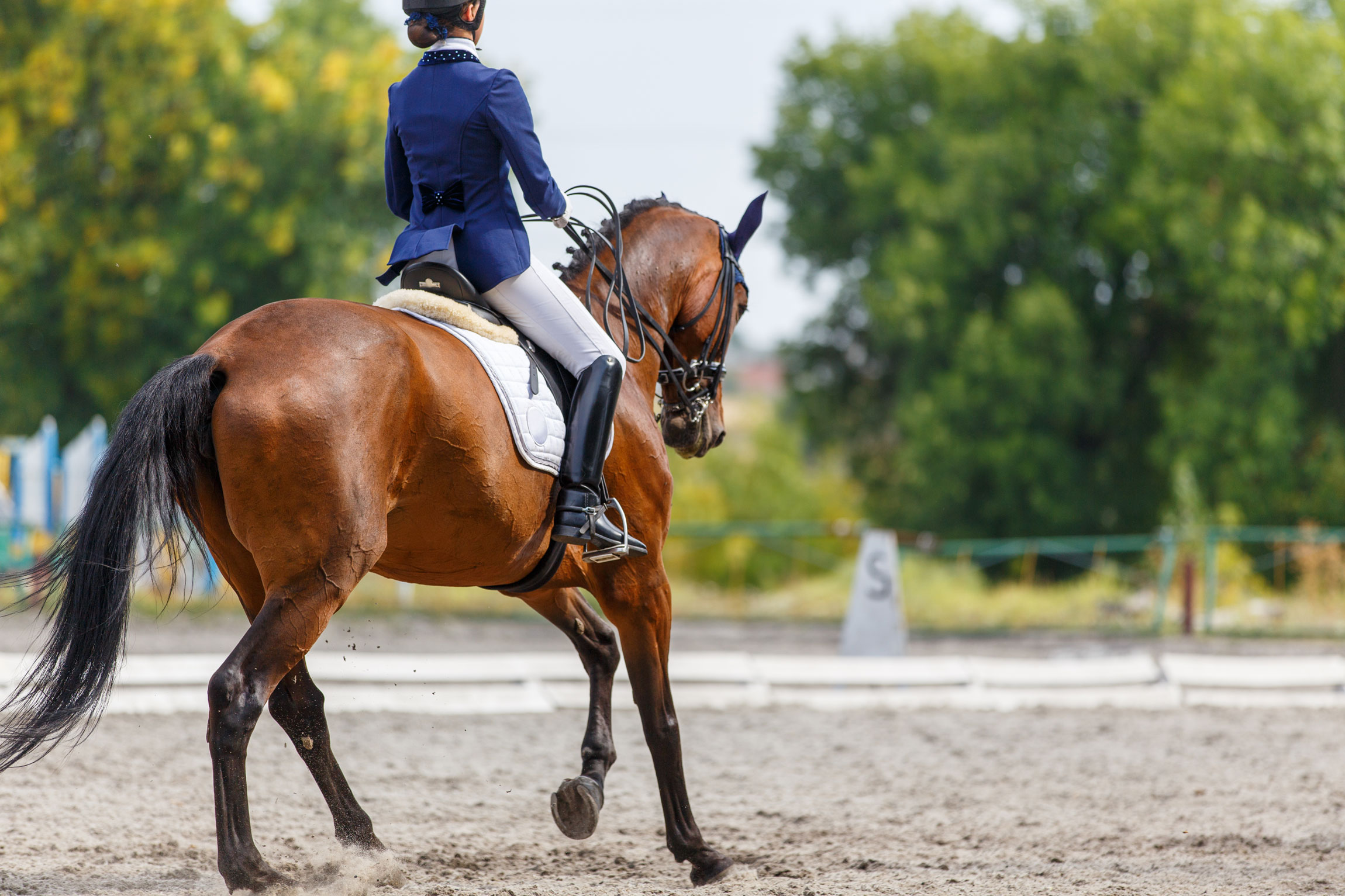 Readers' Questions: How can you Train your Horse to do Flying Lead Changes?
