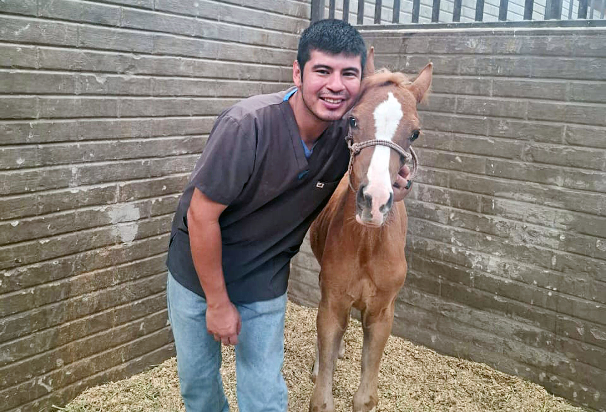 FEI Solidarity: How One Veterinarian Aims to Redefine Horse Care in El Salvador