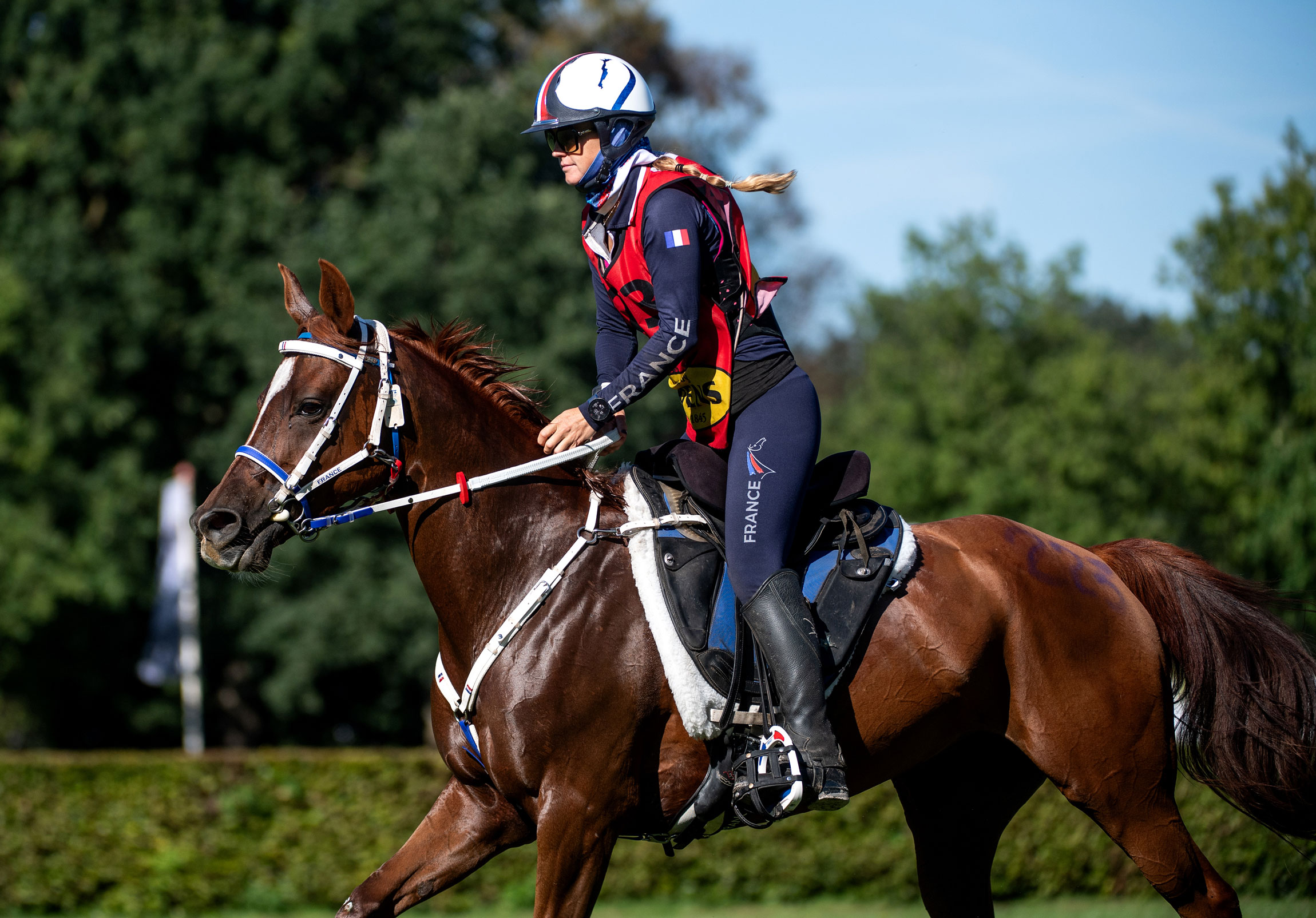 Journey to the Top: Riding High with Virginie Atger