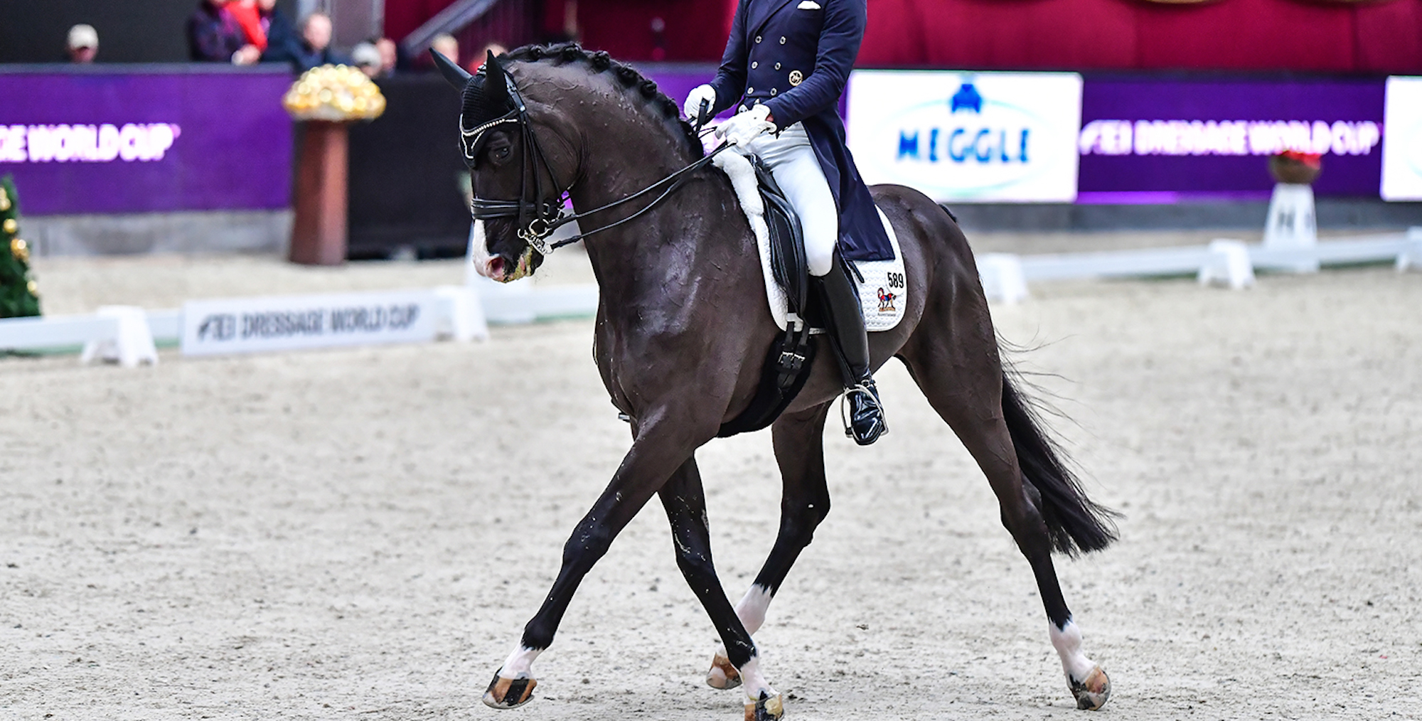 20 Mins of Lateral Work To Supple Your Horse - Novice