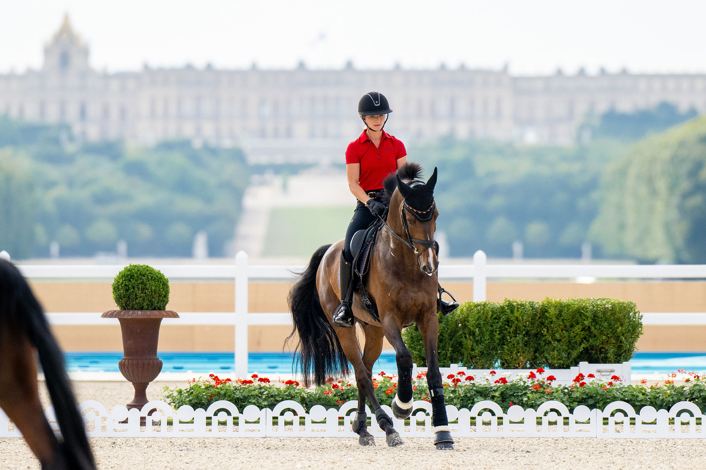 Champion Krajewski to Start First at Paris 2024