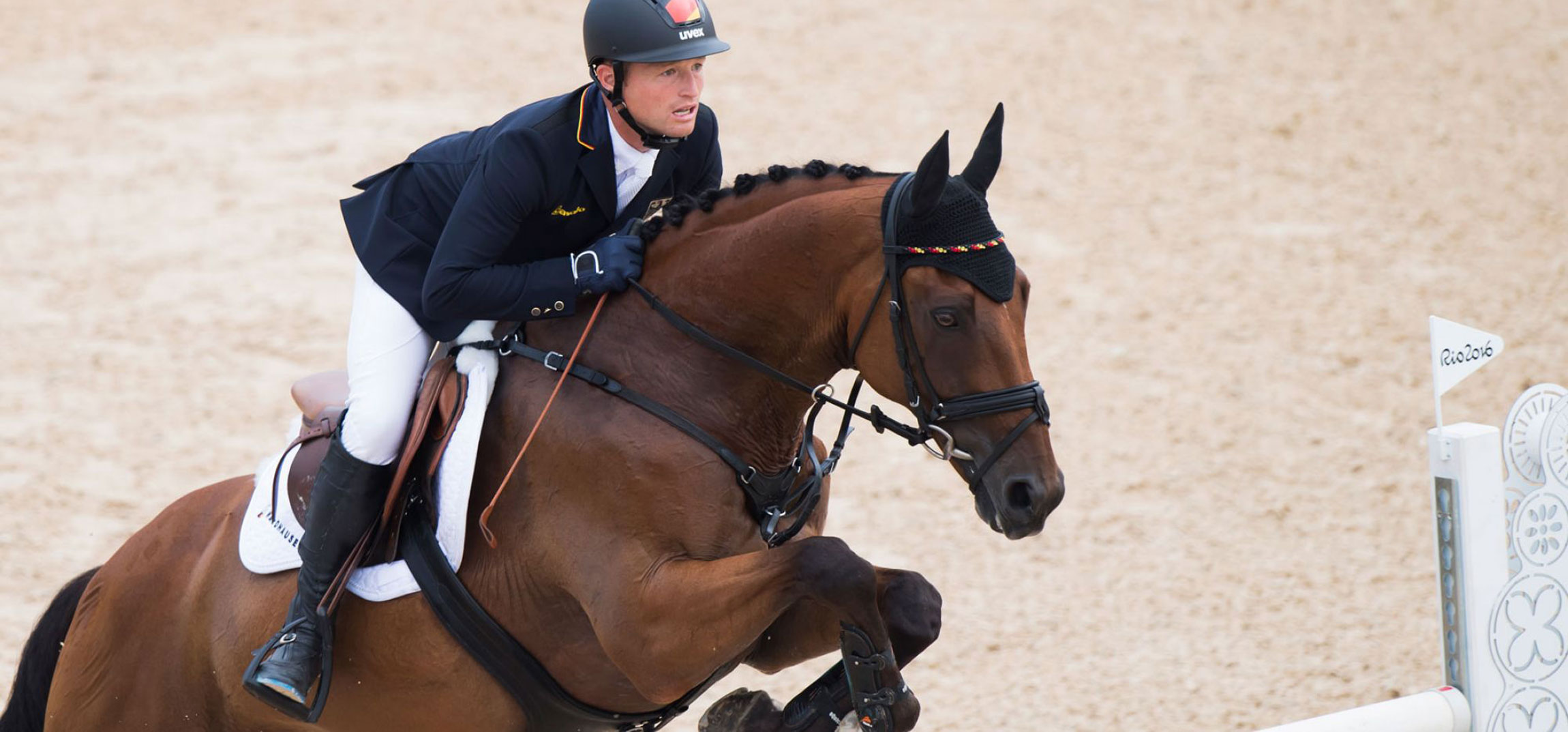 Horse of a Lifetime: Sam