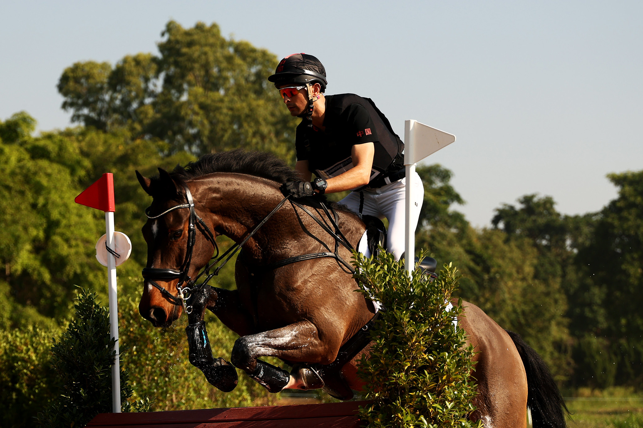 2025: The Year in Eventing