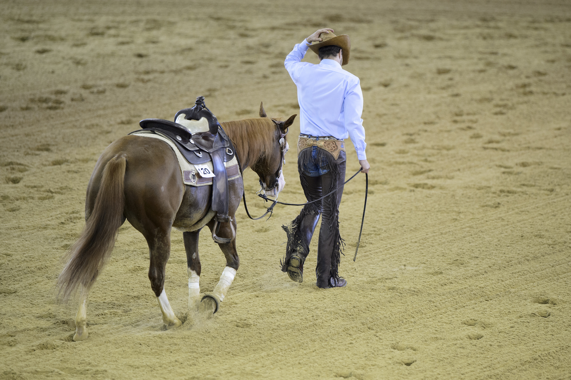 The Best Reiners of 2016…