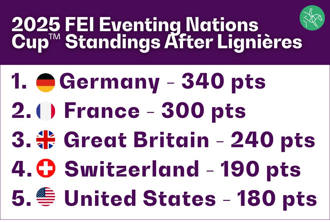 | FEI.org