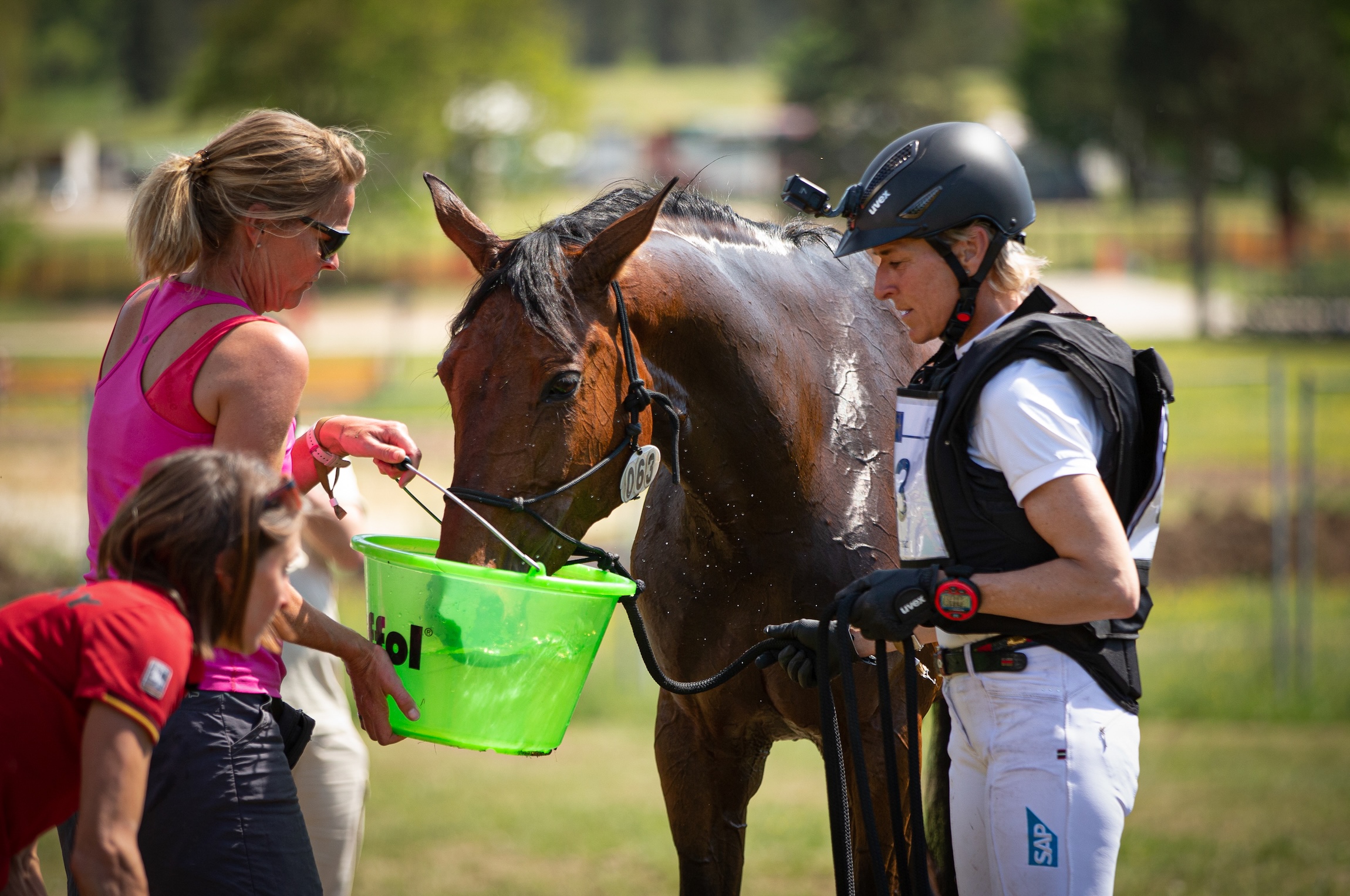 FEI Launches “Beat the Heat” Campaign for Horse and Athlete Welfare