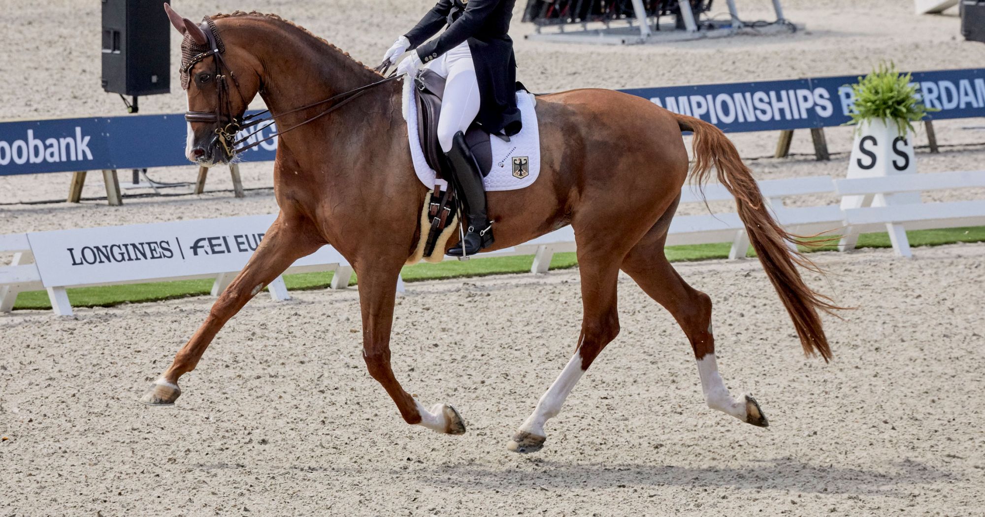 20 Mins of Lateral Work To Supple Your Horse – Intermediate