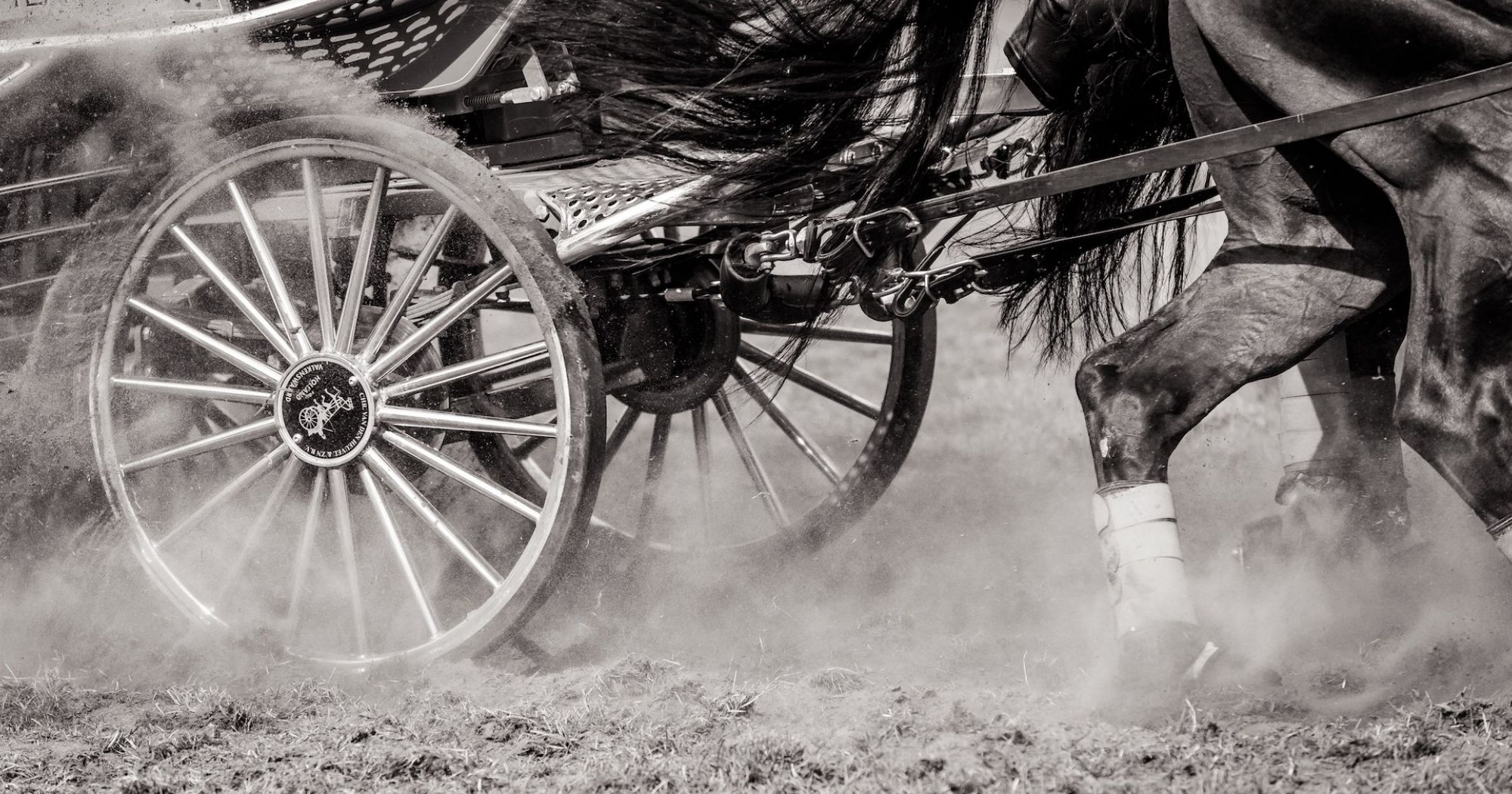 Fédération Equestre Internationale (FEI) | FEI.org