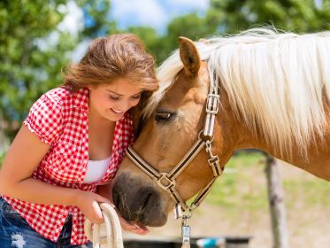 6 Subscription Boxes for the Equestrian