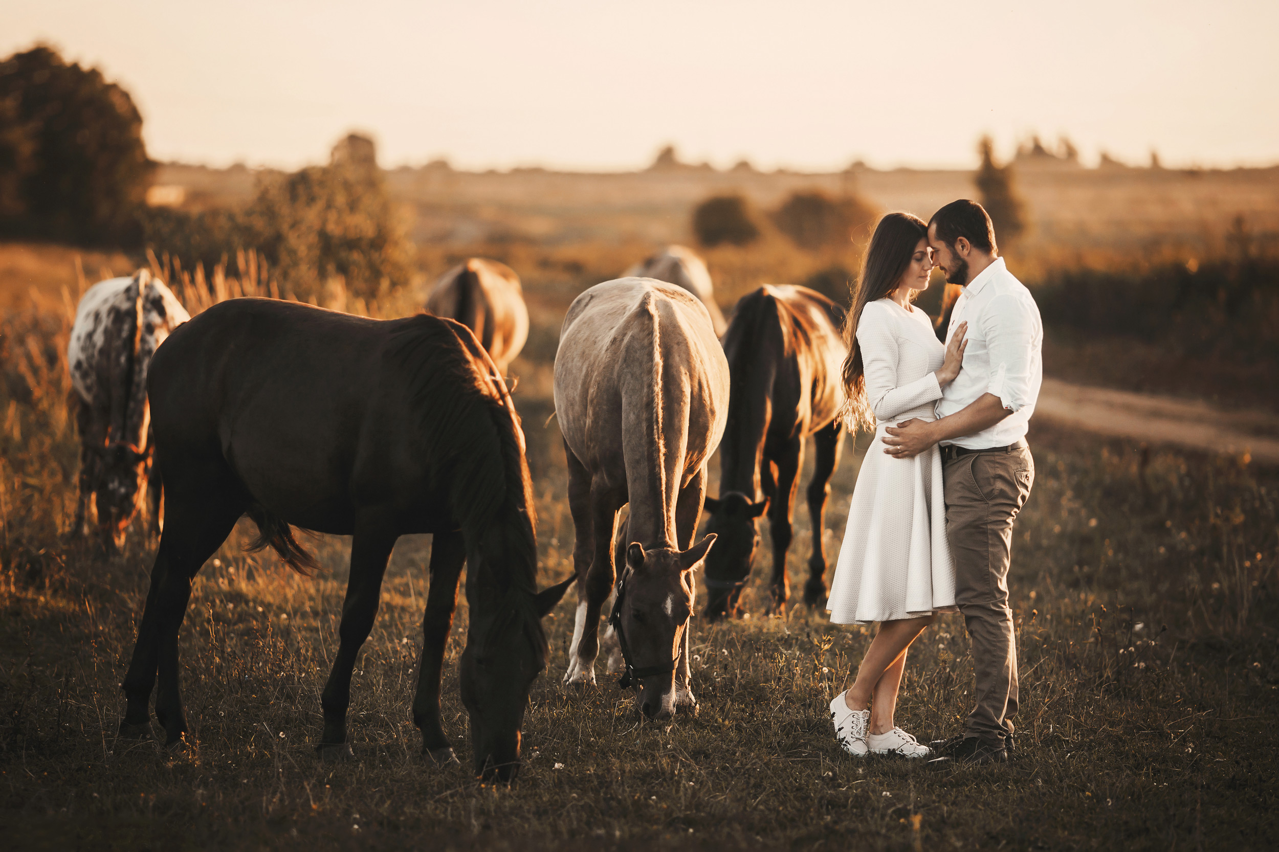 Valentine Horse Pictures Déjà Vu: Oaks Hopeful Venti Valentine 'Even
